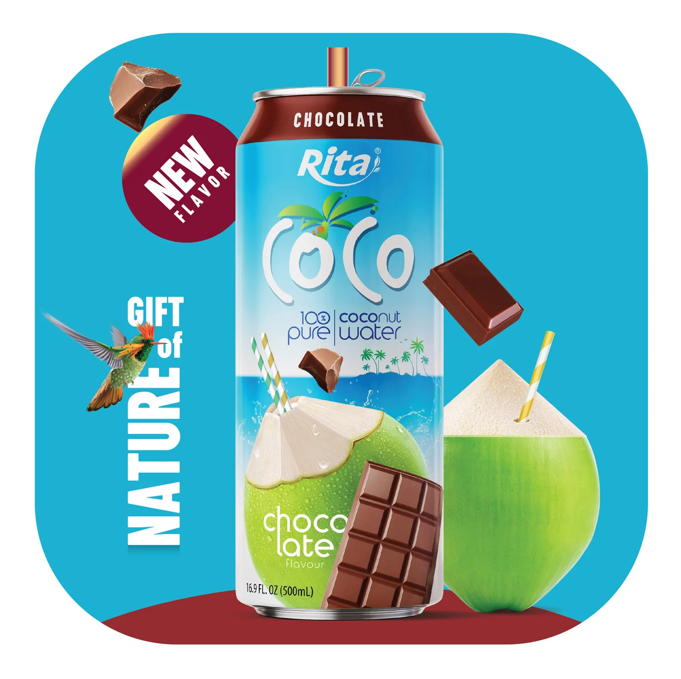 Rita Coco 100% Pure Coconut Water with Chocolate Flavour 500ml Can - US ...